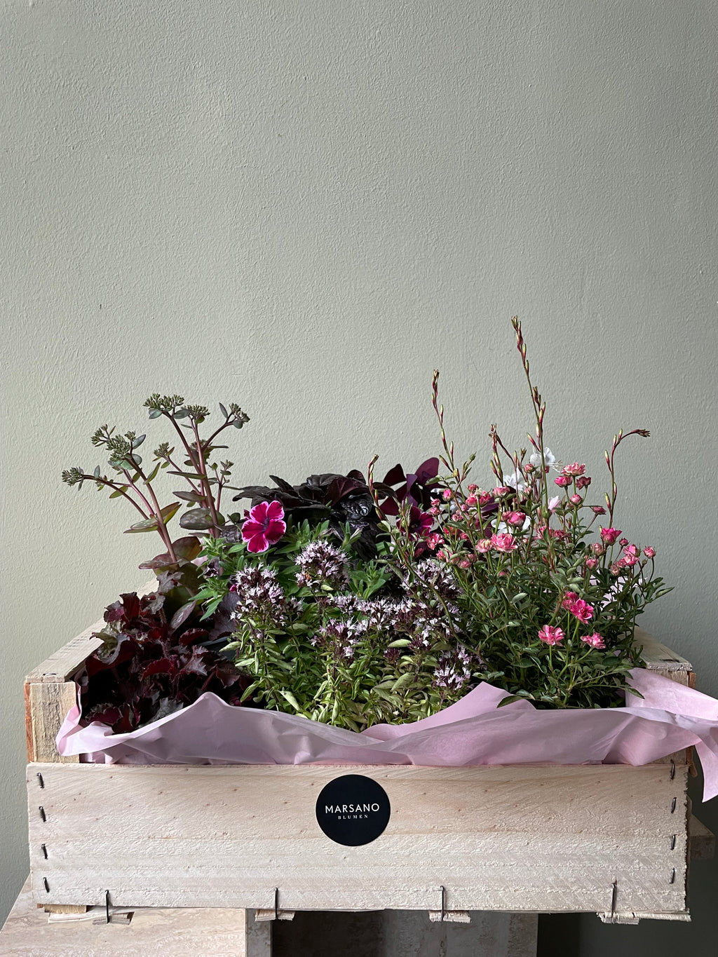MARSANO Flowers